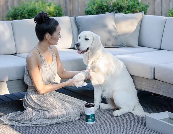 Zogics Pet Multi-Purpose Dog Grooming Wipes with Organic Oatmeal & Aloe - Thick, Hypoallergenic Wipes for Spot Cleaning and Between Baths (50 Wipes)