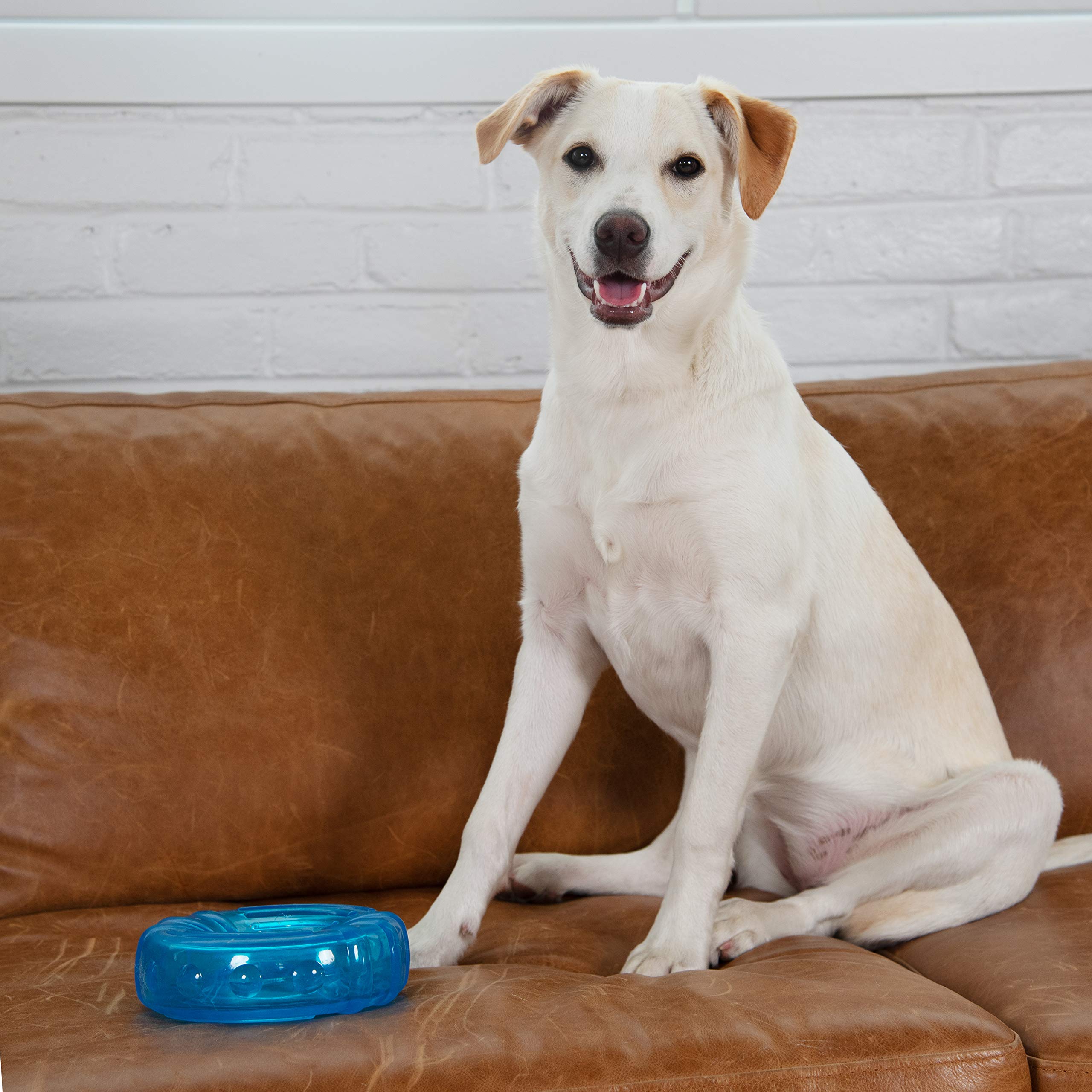 Petstages Orka Tire Royal Blue Treat-Dispensing Dog Chew Toy