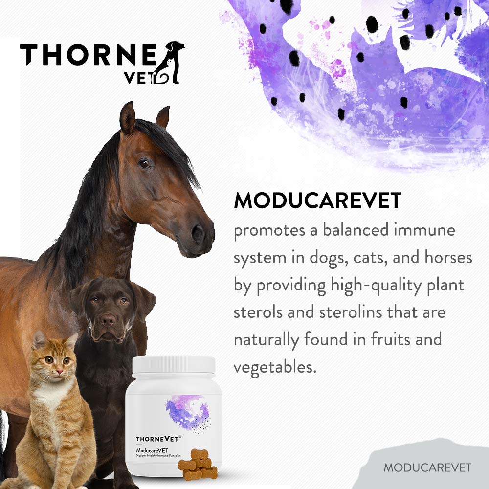 ThorneVet ModucareVET β Immune System Support from Plant Sterols for Dogs, Cats & Horses, 90 Soft Chews