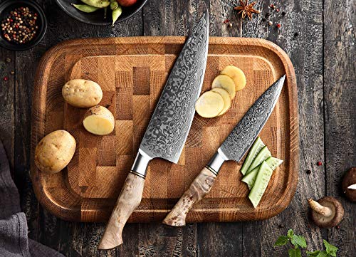 HEZHEN-67 LAYES Damascus Steel Kitchen Knife Set 2PCS,8.3'' Chef knife 5" Utility Knife Figured Sycamore Wood Handle with Gift Box