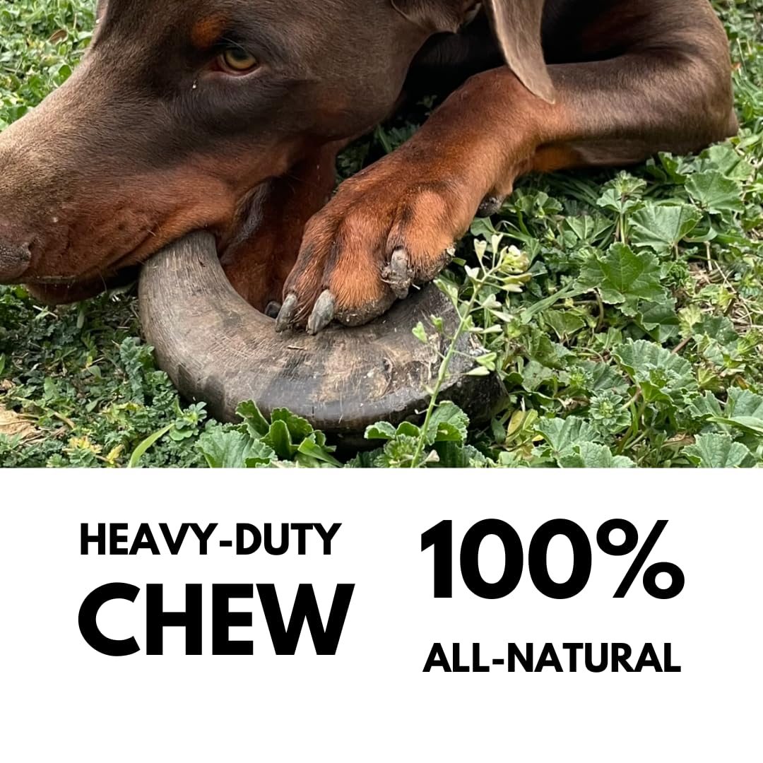 WhiteTail Naturals - Water Buffalo Horns for Dogs (2 Pack Large) All-Natural Dog Bone - Long Lasting Chew Bone for Aggressive Chewers and Teething Puppies