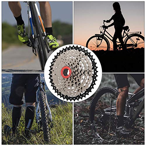 Gaeirt Flywheel, Hollow Design Road Freewheel Oxidation Resistant Wear Resistance 42T for Road Bikes