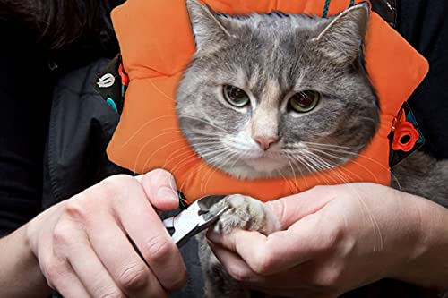 Purrrfect Life Adjustable Pet Cone Collar Soft for Kittens and Puppys, Cute Recovery Pet E-Collar After Surgery, Wound Healing Protective Cone, Elizabethan Collars (Flower, S)