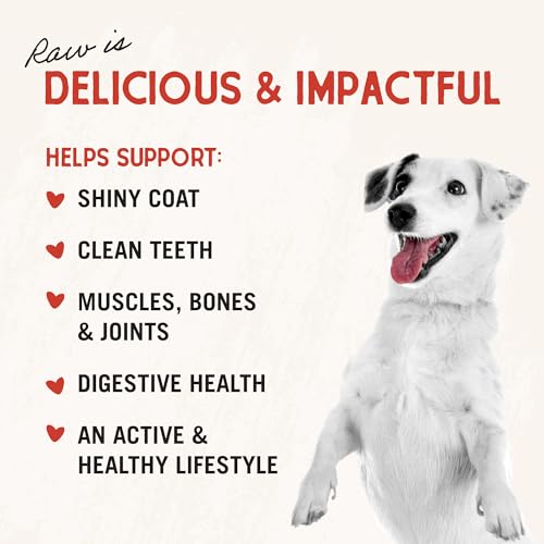 Stella & Chewy's Freeze Dried Raw Dinner Patties – Grain Free Dog Food, Protein Rich Chewy’s Chicken Recipe – 14 oz Bag