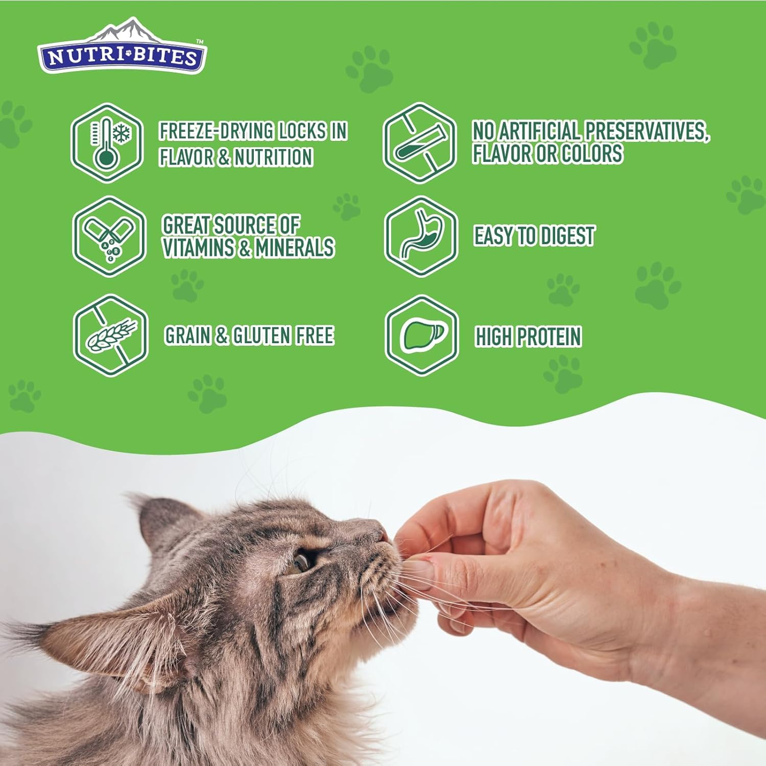 Nutri Bites Freeze Dried Beef Liver Treats for Dogs & Cats, Single Ingredient, No Additives, Perfect for Training, Sensitive Diets, 17.6 oz(Pack of 1)