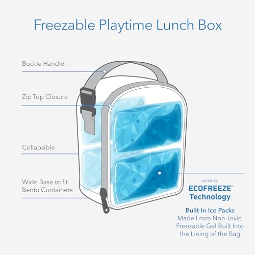 PackIt® Freezable Playtime Lunch Box, Rainbow, Built with EcoFreeze® Technology, Collapsible, Reusable, Zip Closure With Buckle Handle, Perfect for Keeping Lunches Fresh Large