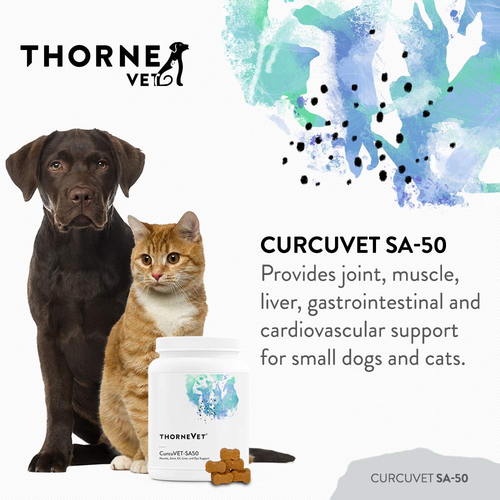 ThorneVet CurcuVET-SA50 β Joint, Muscle, Liver & GI Support for Small Dogs & Cats, 90 Soft Chews