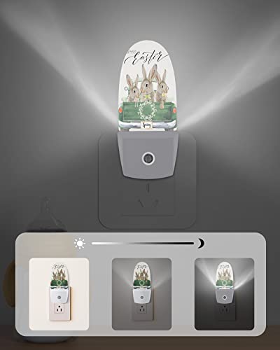 RisQiten Easter Bunny Night Light, LED Plug in Night Light, Green Truck Spring Eucalyptus Leaf Wreath Night Lights with Dusk to Dawn Sensor Decorative Kids/Adults Nightlight for Bedroom Bathroom