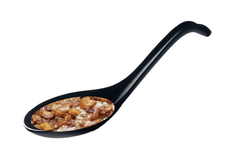 Lucky Star Melamine Japanese Ramen Vietnam Pho Noodle Soup Serving Spoons Utensil, 6.5” Length, Black (48)