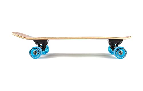 Sector 9 Zag Bambino Longboard Complete
