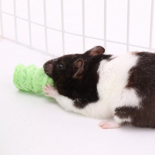 Wodent Wheel 11 Inch & Tail Shield - Running Wheel for Small Pets Bundled with Critter Pops Treats
