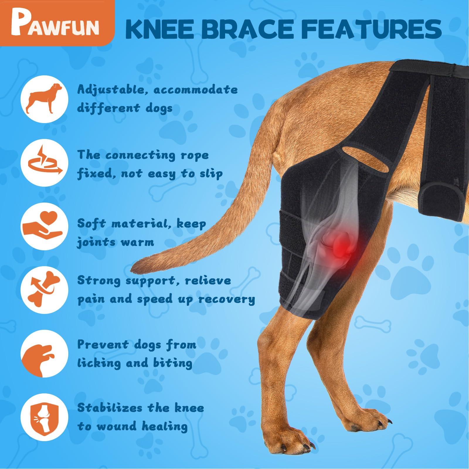 Pawfun Dog Knee Brace for Torn ACL Hind Leg, Dog Leg Brace for Large and Small Dogs with Hip Dysplasia, CCL, Ligament Injuries or Osteoarthritis, Both Back and Front Legs (Large)