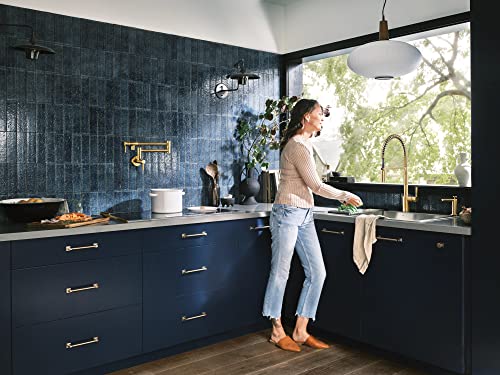 Moen Align Brushed Gold One Handle Spring Pulldown Kitchen Faucet, Farmhouse Style High-Arc Kitchen Sink Faucet with Power Boost for a Faster Clean, 5923SRS