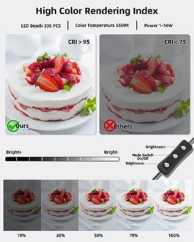 Glendan Light Box Photography, 24" x 20" Professional Photo Studio Light Box, Large Photo Box with 336 High Color Rendering Index LED Lights & 6 Color PVC Backdrops for Product Photography