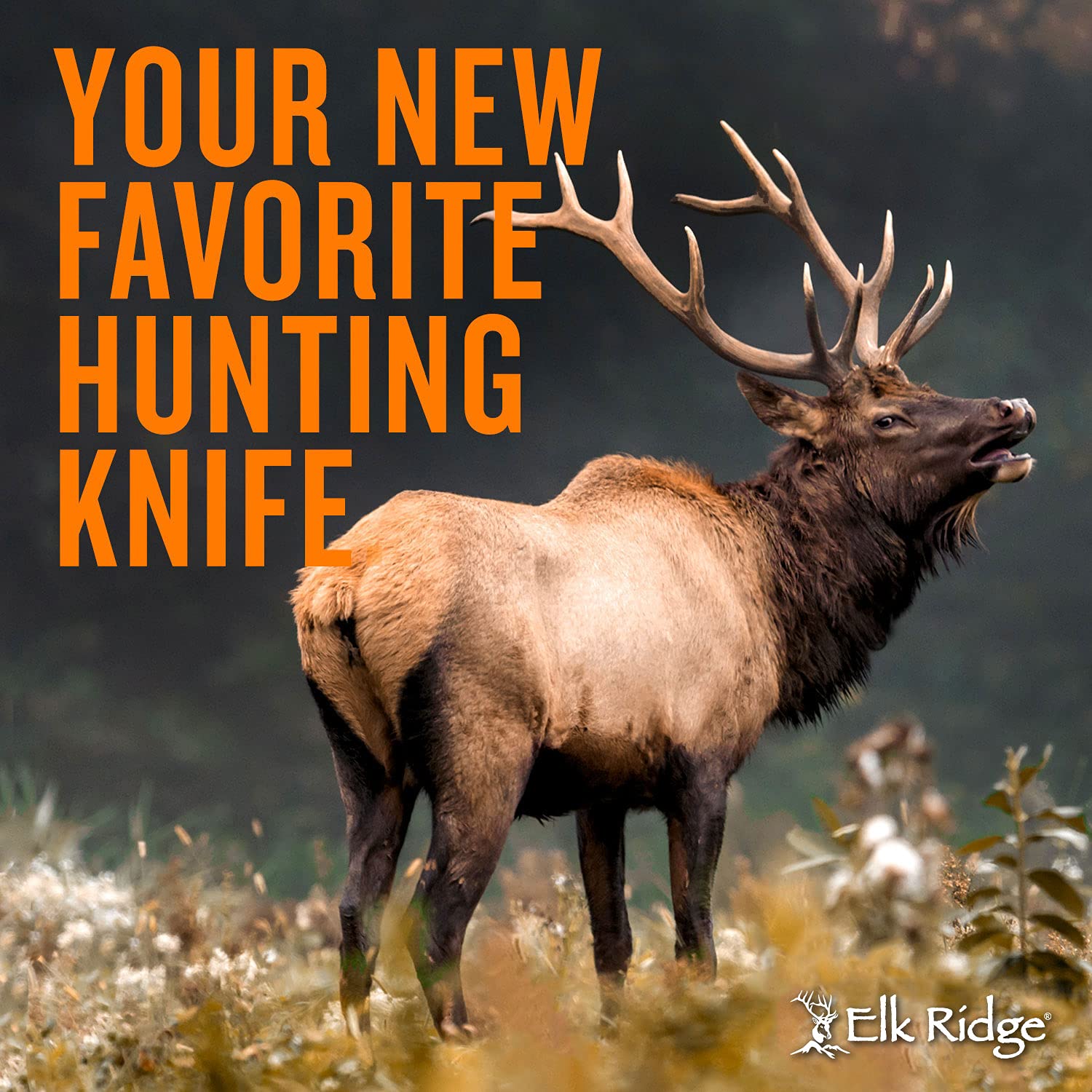 Elk Ridge - Outdoors Fixed Blade Knife - 5-in Overall, 440 Stainless Steel Mirror Polished Blade, Burl Wood Handle, Leather Sheath - Hunting, Camping, Survival, Everday - ER-111