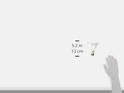 GE Sun Filled LED Light Bulb, 65 Watt, Daylight, BR30 Indoor Floodlight (1 Pack)