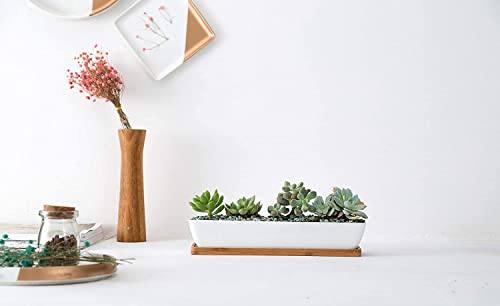 Kipokalor Succulent Planter Pot,2 Set 11.1x2.36x1.77inch Long Rectangular Modern Minimalist White Ceramic with Saucer for Office,Desk,Window.