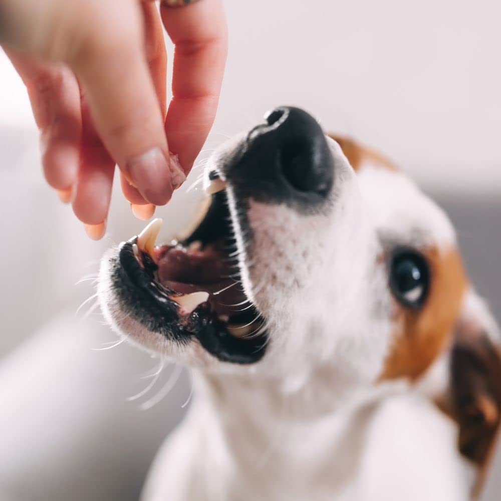 Milk-Bone Brushing Chews Dental Dog Treats - Small/Medium Snacks for Pups 25-49 Lbs (25 Count) - Plus Rope Toy and Fun Animal Facts Booklet Bundle