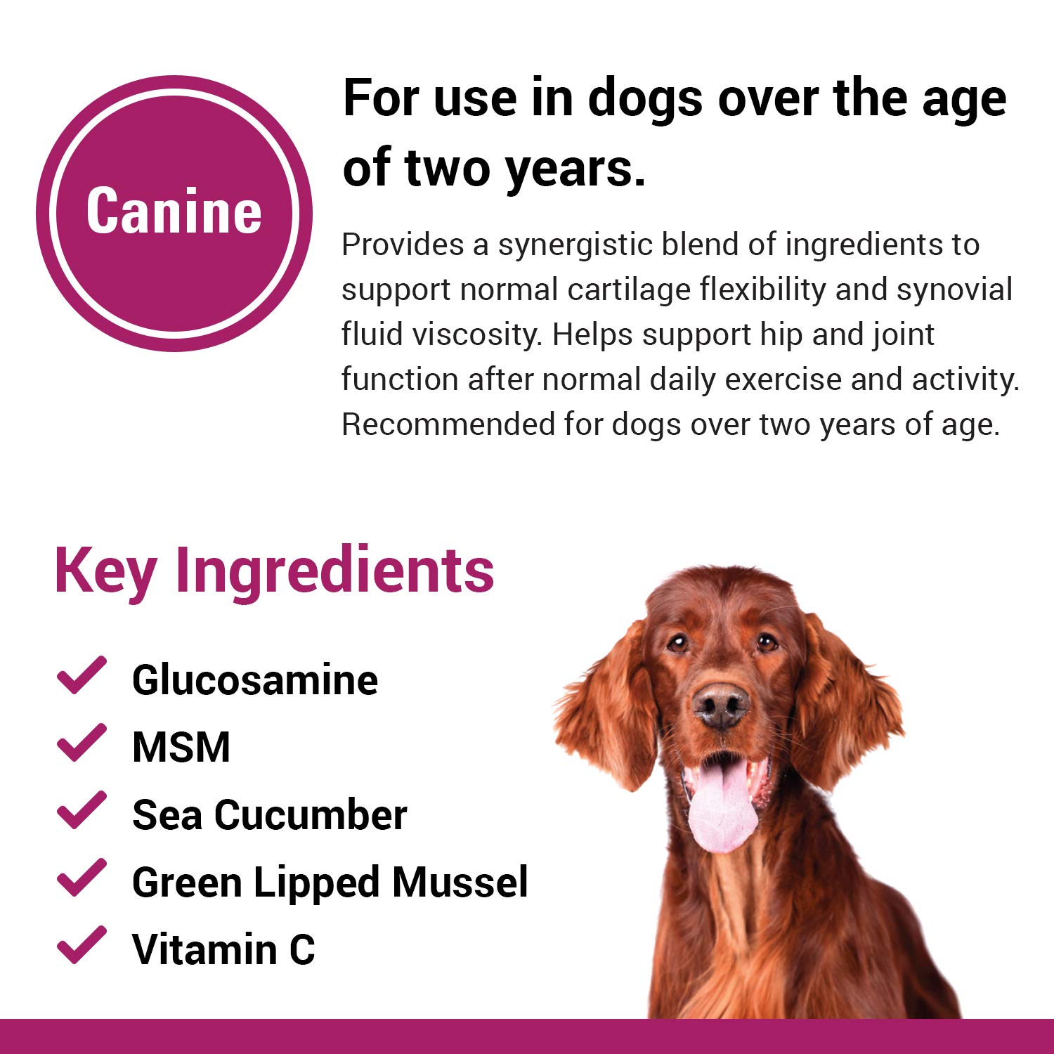 Vet Classics Joint Support Plus Dog Supplement - Hip Health Supplement for Dogs β Alleviates Aches and Discomfort - For Flexibility, Healthy Joint Function in Canines β Antioxidants β 120 Soft Chews