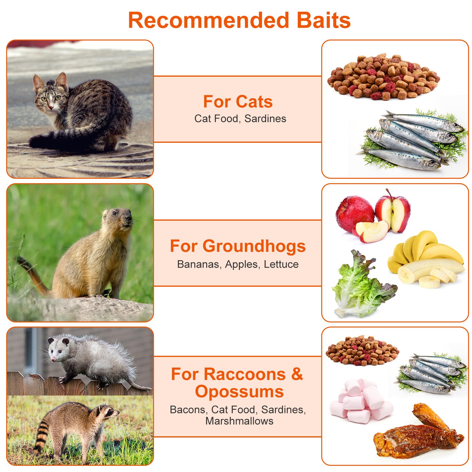 Moclever Live Animal Cage Trap Humane Cat Trap Cage Catch Release Live Animal Rodent Cage Collapsible Galvanized Wire for Rabbits, Stray Cat, Raccoon, Groundhogs, Mole,Gopher,Opossum-30.5X11.81X11 in