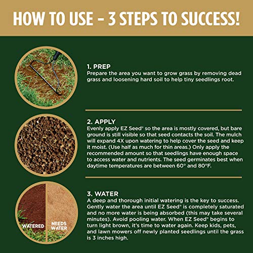 Scotts EZ Seed Dog Spot Repair Tall Fescue Lawns - 2 lb., Combination Mulch, Seed and Soil Amendment Includes Protectant and Tackifier, Neutralizes and Repairs up to 100 Dog Spots