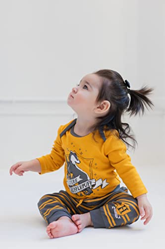 Harry Potter Slytherin Ravenclaw Hufflepuff Infant Baby Boys 4 Pack Bodysuits Blue/Gray/Red/Yellow 12 Months