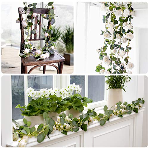 FRUNZE Eucalyptus Garland with White Roses - Artificial Vine Decoration for Home, Kitchen, Garden & Furniture - Charming Wall Backdrop for Weddings, Parties, & Events - Rustic Ornament, 2 Meters Long