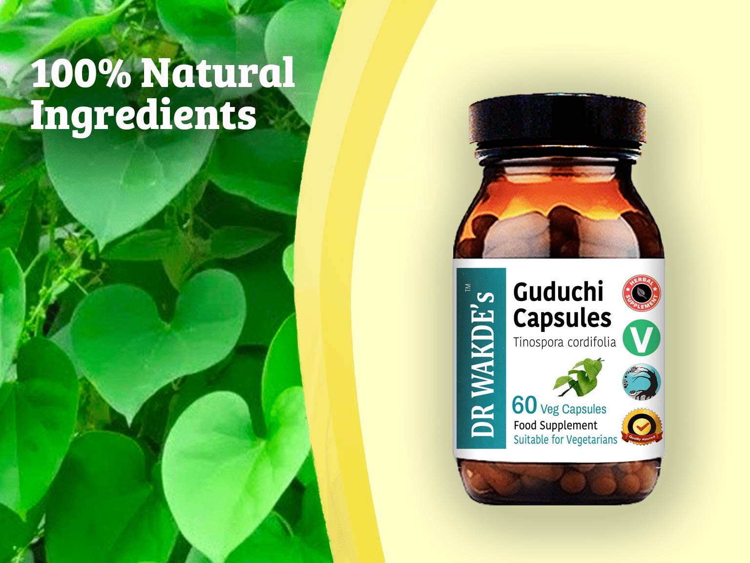 DR WAKDE'S Guduchi Capsules (Tinospora cordifolia, 60 Veg Caps, Plant-Based Supplement, Ayurvedic Herb, All Natural, Vegan)