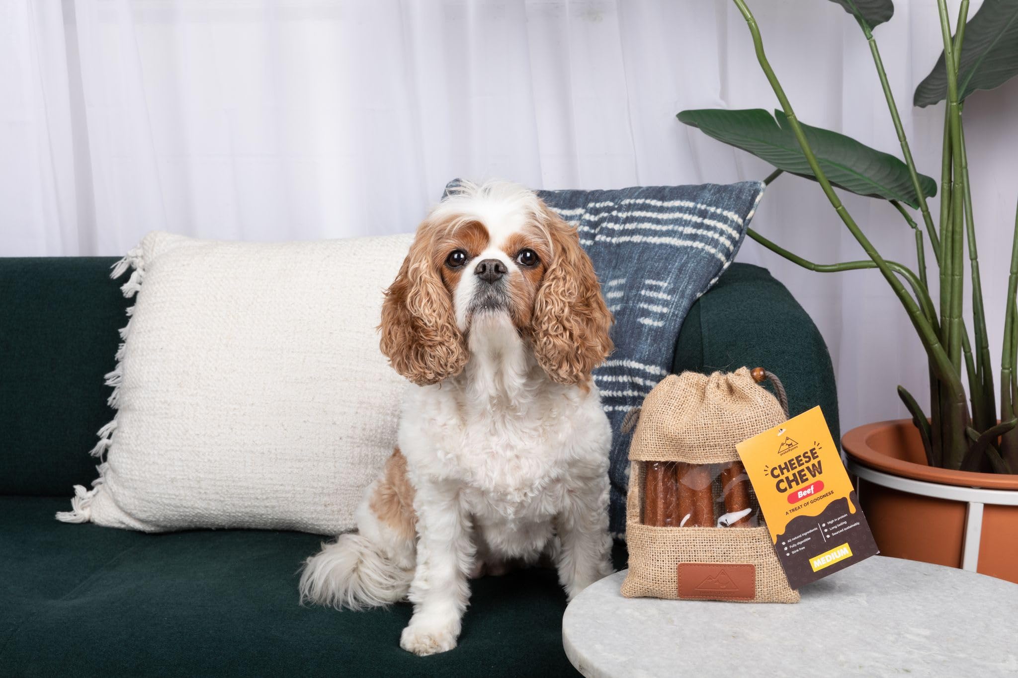 peaksNpaws Premium Cheese Chews -All Natural - 100% Digestibility - Grain, Gluten & Stink Free - Low in Fat, High in Protein - Small Value Pack Chicken Flavor