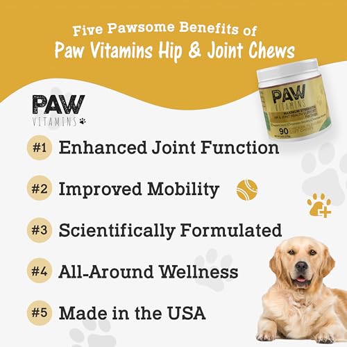 Premium Glucosamine for Dogs (Made in The USA) - Hip & Joint Health Soft Chews with Chondroitin & MSM - Functional Dog Supplement for Mobility Support with Kelp + Vitamins C and E - 90 Count