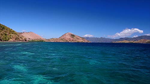 Ocean and Underwater DVD - Under And Above The Pacific Ocean - Fly Over Tropical Paradise - Row over Coral Reefs and Dive With The Turtles