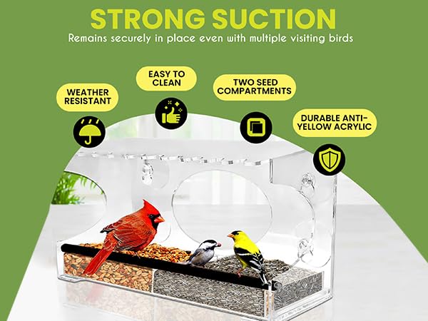 Large Clear Window Bird Feeder - Extended House with Strong Suction Cups - Steel Perch Sliding Feed Seed Tray - See Through Transparent Big Birdhouse - Wild Finch, Cardinal, Blue Jay - Cool Cat Gift
