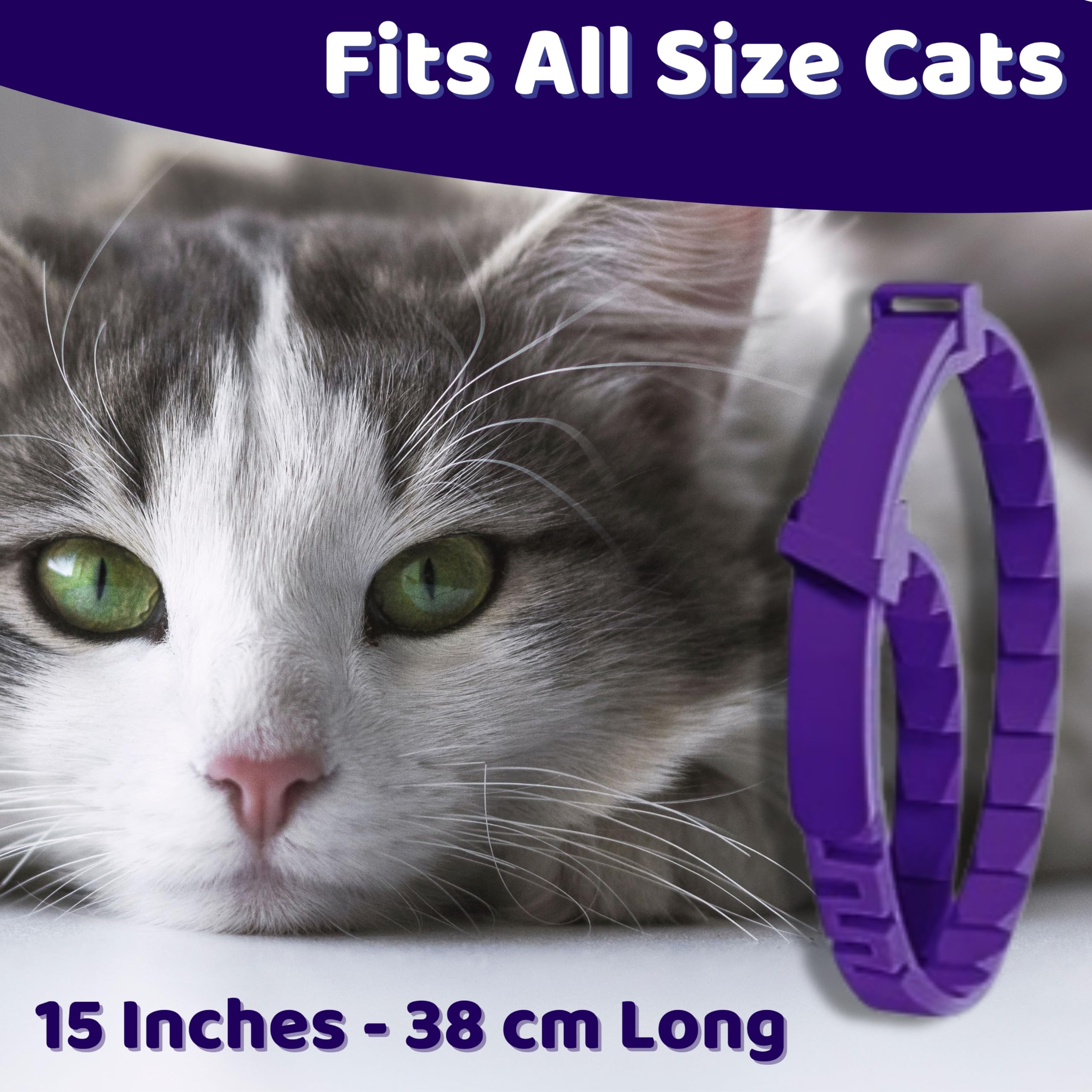 Pettify Calming Collar for Cats 4 Packs | 15 Inches Comfortable Cat Calming Collar | Long Lasting Cat pheromone Collar for Stress and Anxiety Relief, Strong Adjustable Breakaway Design