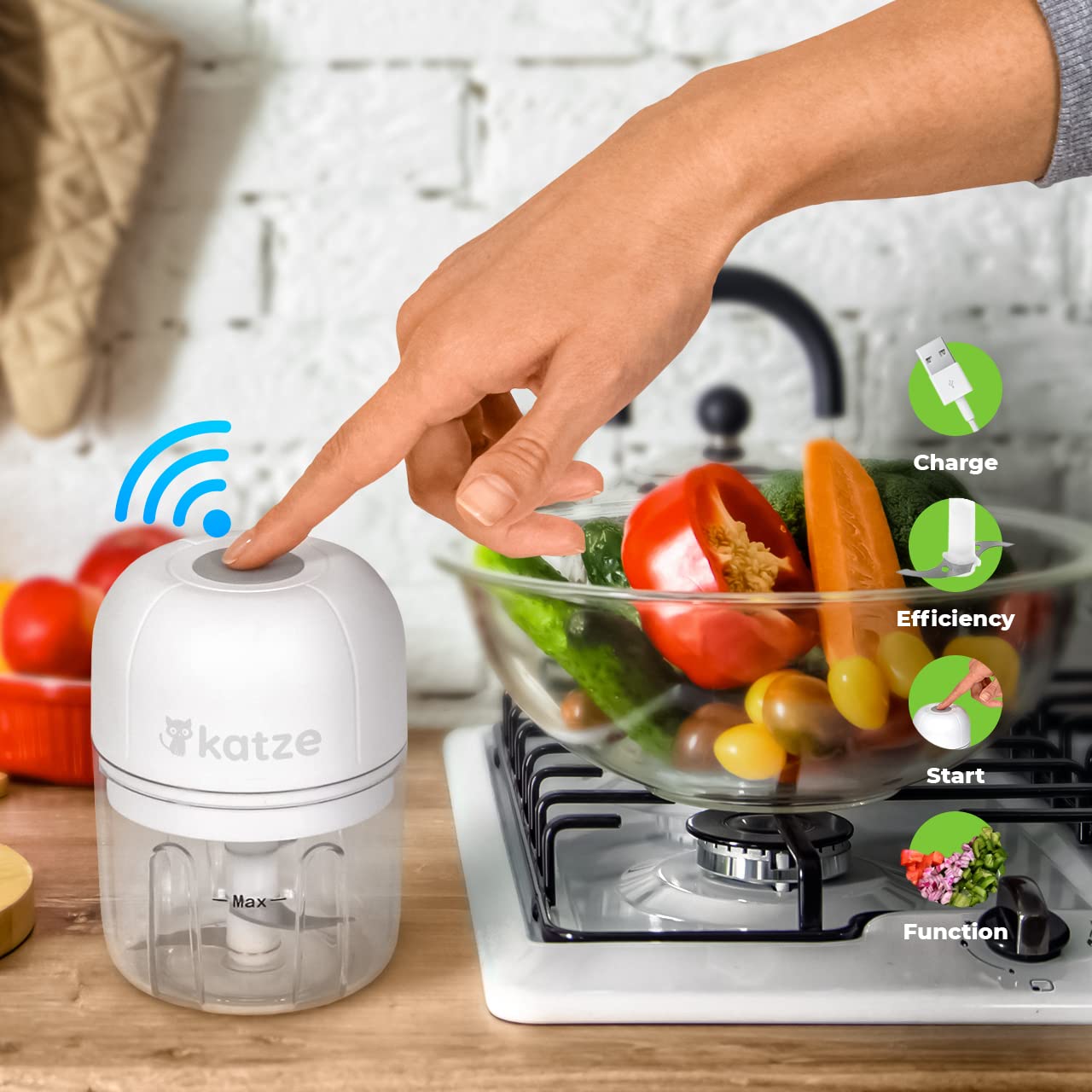 KATZE Electric Mini Food Chopper β Small Processor For Garlic, Onion, Vegetables, Fruit Salad, Dicing & Puree β Mincer For Kitchen (White, 250 ml + 100 ml)