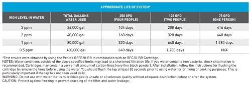 Pentair Pentek RFFE20-BB Big Blue Water Filter, 20-Inch, Whole House Radial Flow Iron Reduction Replacement Cartridge, 20" x 4.5", White