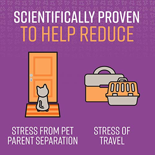 SENTRY PET Care Sentry Calming Spray for Cats, Uses Pheromones to Reduce Stress, Easy Spray Application, Helps Cats with Separation, Travel, Loud Noises, and Anxiety, Packaging May Vary