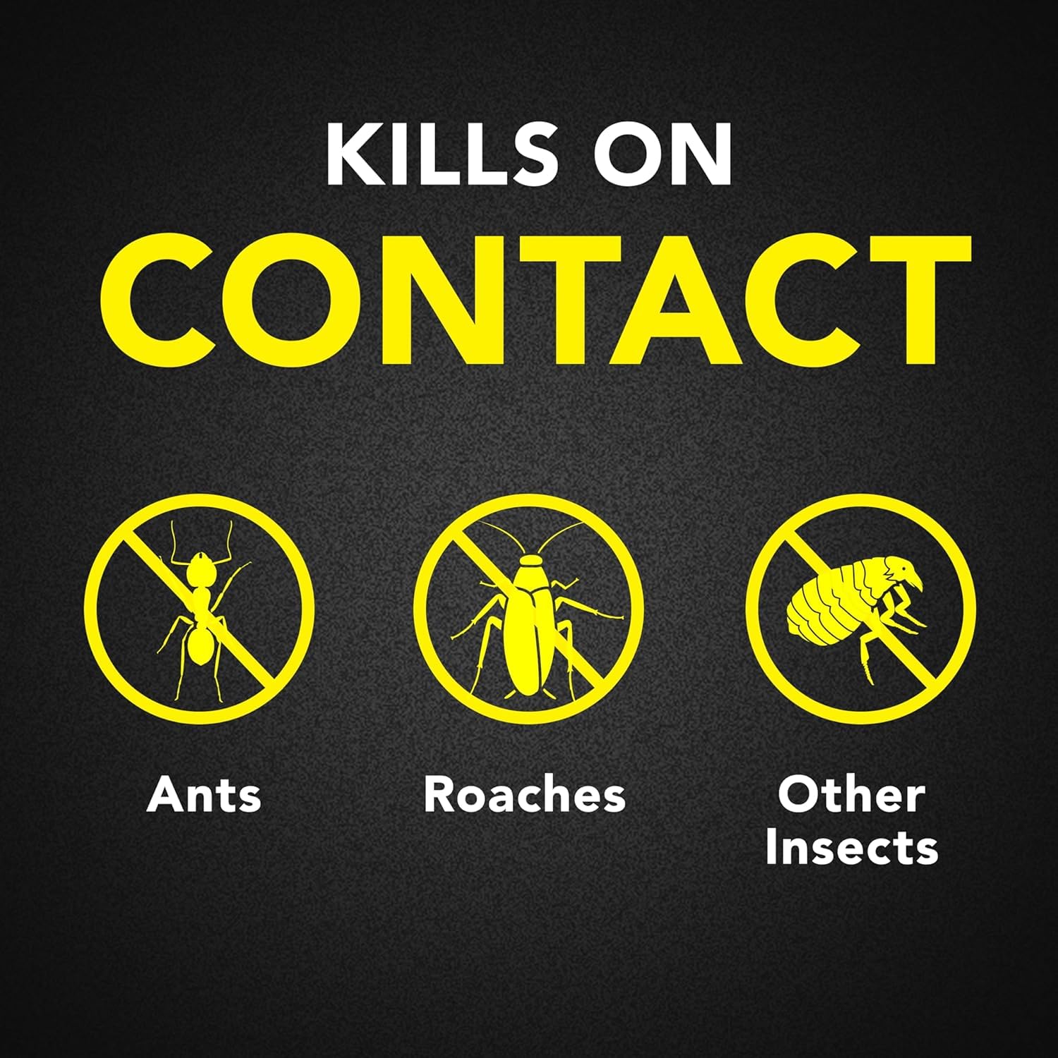 Raid Ant and Roach Killer, Lemon Scent, 17.5 OZ (Pack of 12)