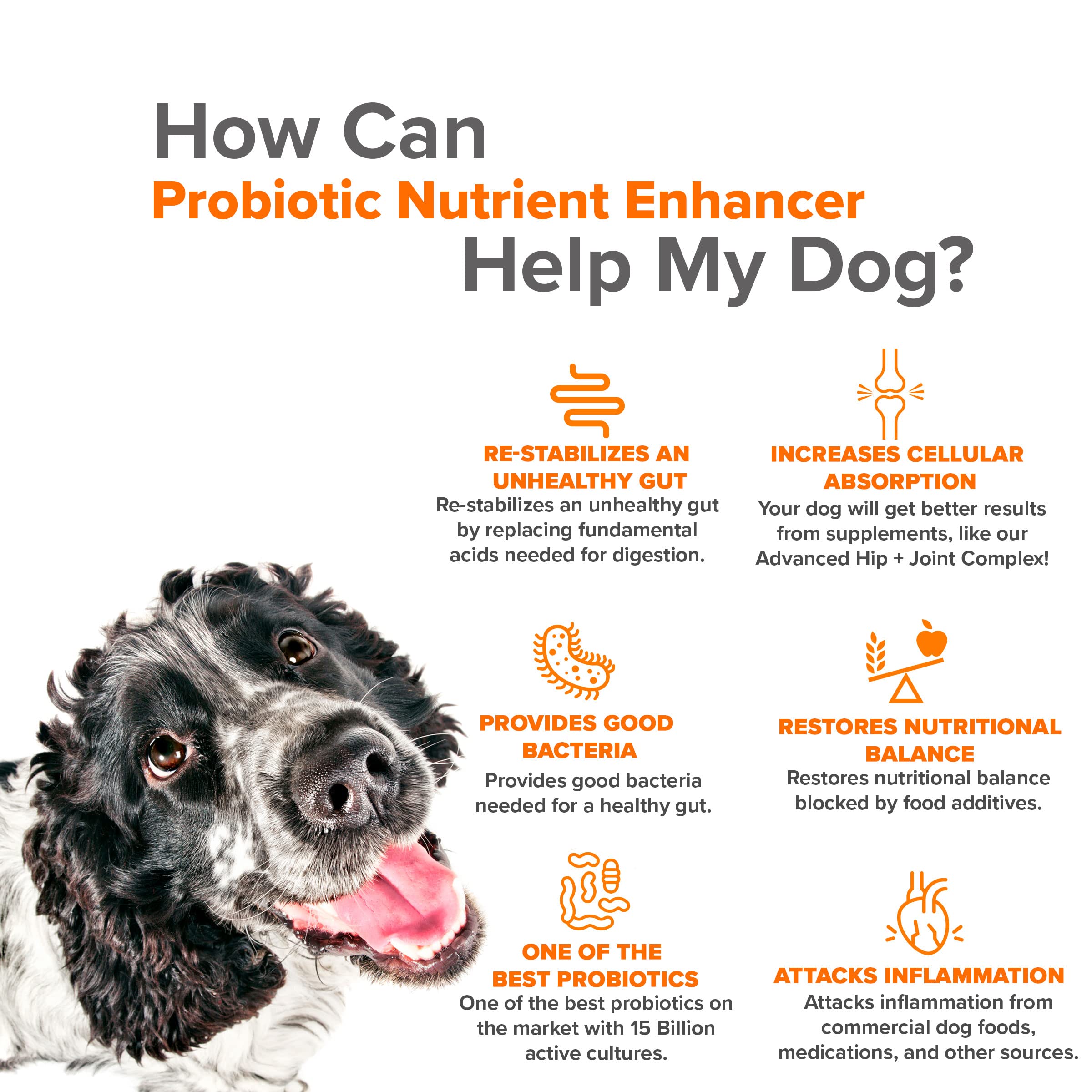 Turkey Tail Mushroom for Dogs Immune Support Bundled with Probiotic Nutrient Enhancer