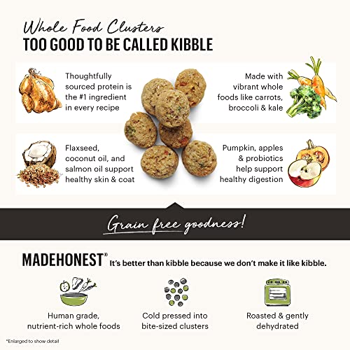 The Honest Kitchen Whole Food Clusters Puppy Grain Free Chicken Dry Dog Food, 1 lb Bag