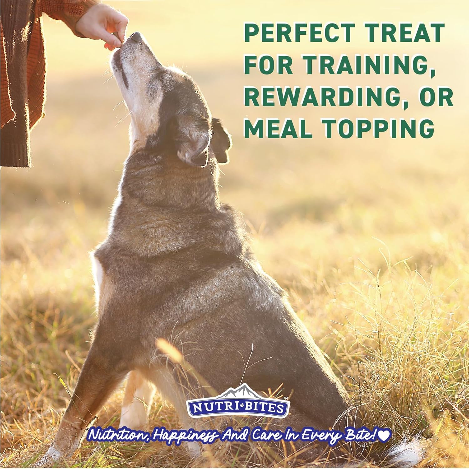 Nutri Bites Freeze Dried Beef Liver Treats for Dogs & Cats, Single Ingredient, No Additives, Perfect for Training, Sensitive Diets, 17.6 oz(Pack of 1)