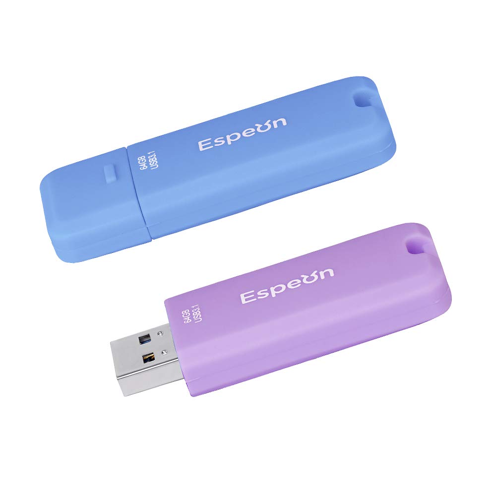 Espeon 2-Pack 64GB USB 3.1 Flash Drive, Macaroon Colors - Light Blue, Light Violet - ESP64G2PKM