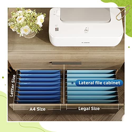 DEVAISE 2 Drawer Wood Lateral File Cabinet with Anti-tilt Mechanism, Storage Filing Cabinet for Home Office, Gray Oak