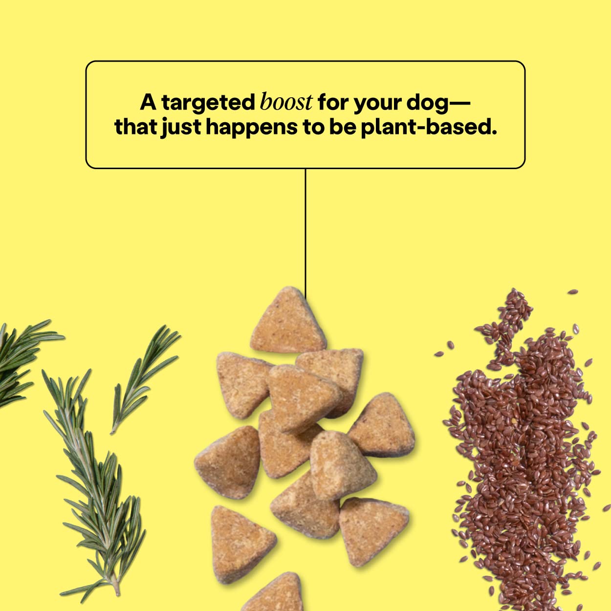 Wild Earth Dog Supplements, Soft Chews for Digestion & Immune Support, with Prebiotics, Probiotics & Enzymes, Veterinarian-Developed, Vegan