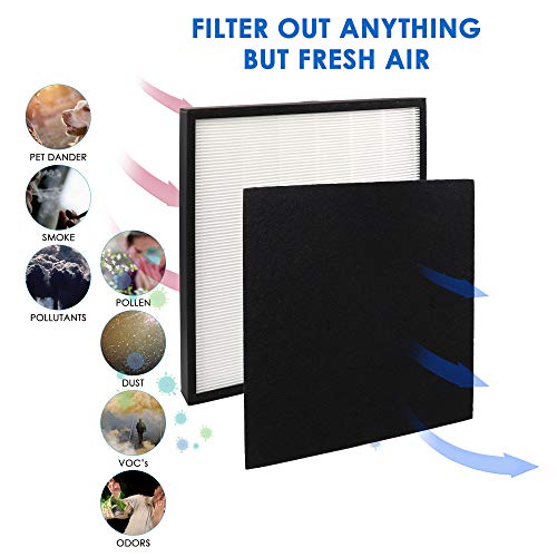 Flintar FLT5900 H13 Grade True HEPA Replacement Filter J, Compatible with GermGuardian Air Purifier AC5900WCA and AC5900WDLX, H13 Grade True HEPA + Activated Carbon Filter, 1-Set