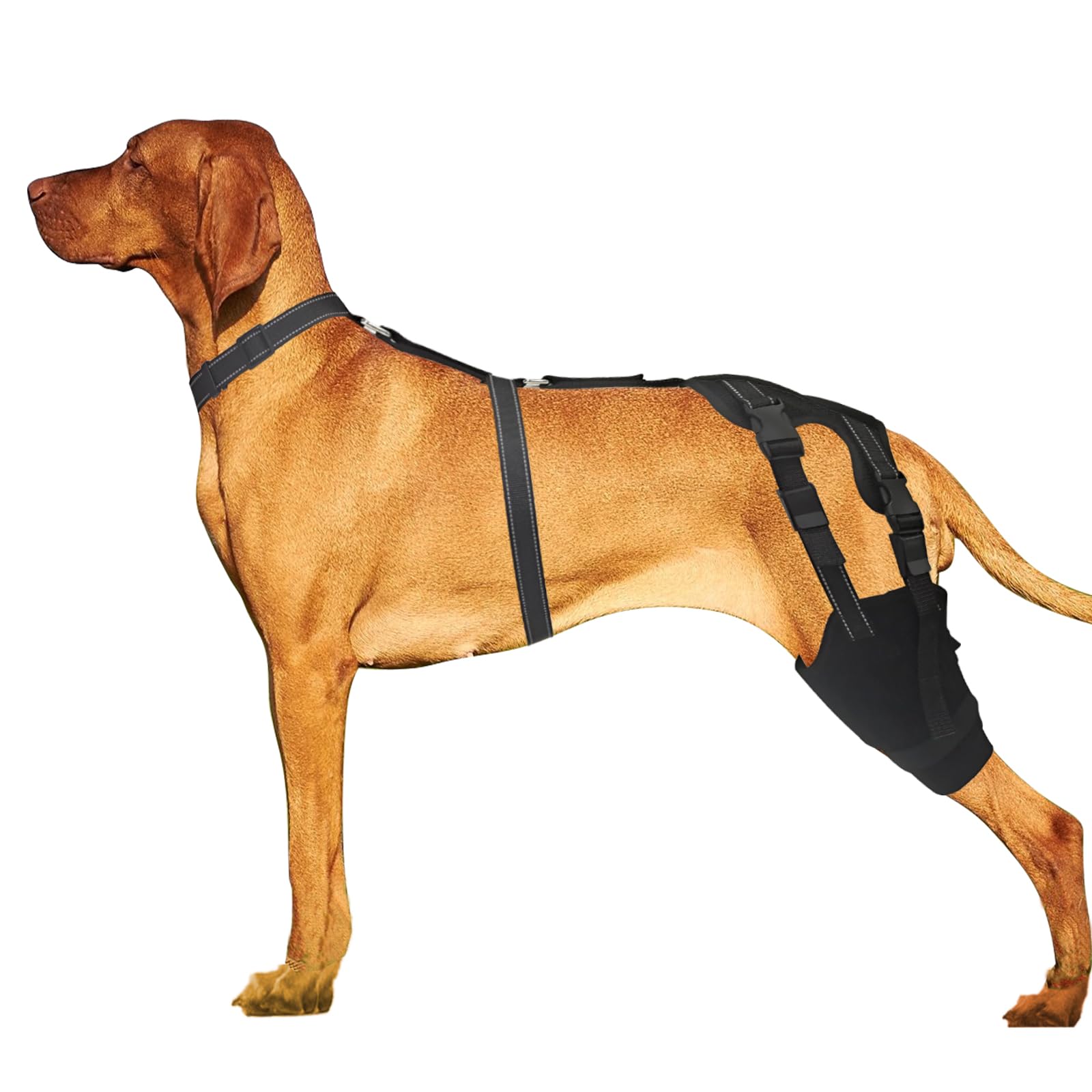 PLKO Dog Knee Brace with Side Stabilizers - Support for ACL, Knee Cap Dislocation, Arthritis - Warmth, Stability, and Pain Relief(Size: XXXL)