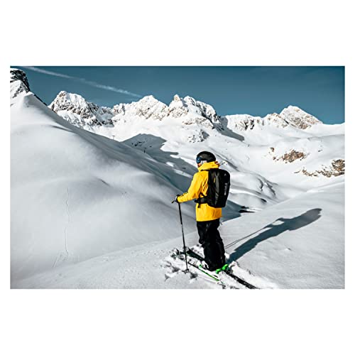 HEAD Kore Unisex Adults Durable All-Mountain Freeride Ski Pole with Adjustable Strap and Steel Tip, Black/White, 125