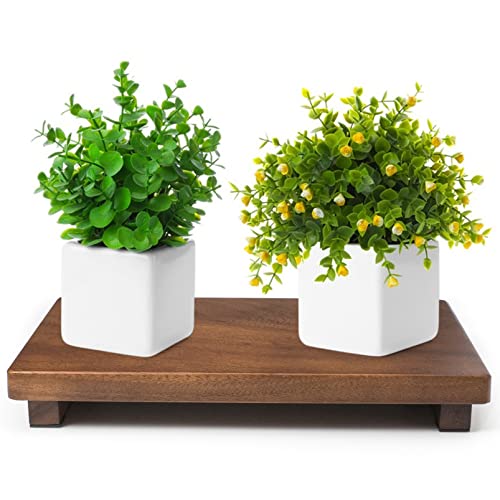 Wood Riser for Display Walnut Wood Pedestal Stand, Farmhouse Decor Soap Tray, Displays Your Plant Bottles Candles for Your Home Kitchen (Large, 12 x 7.1 x1.57Inch)