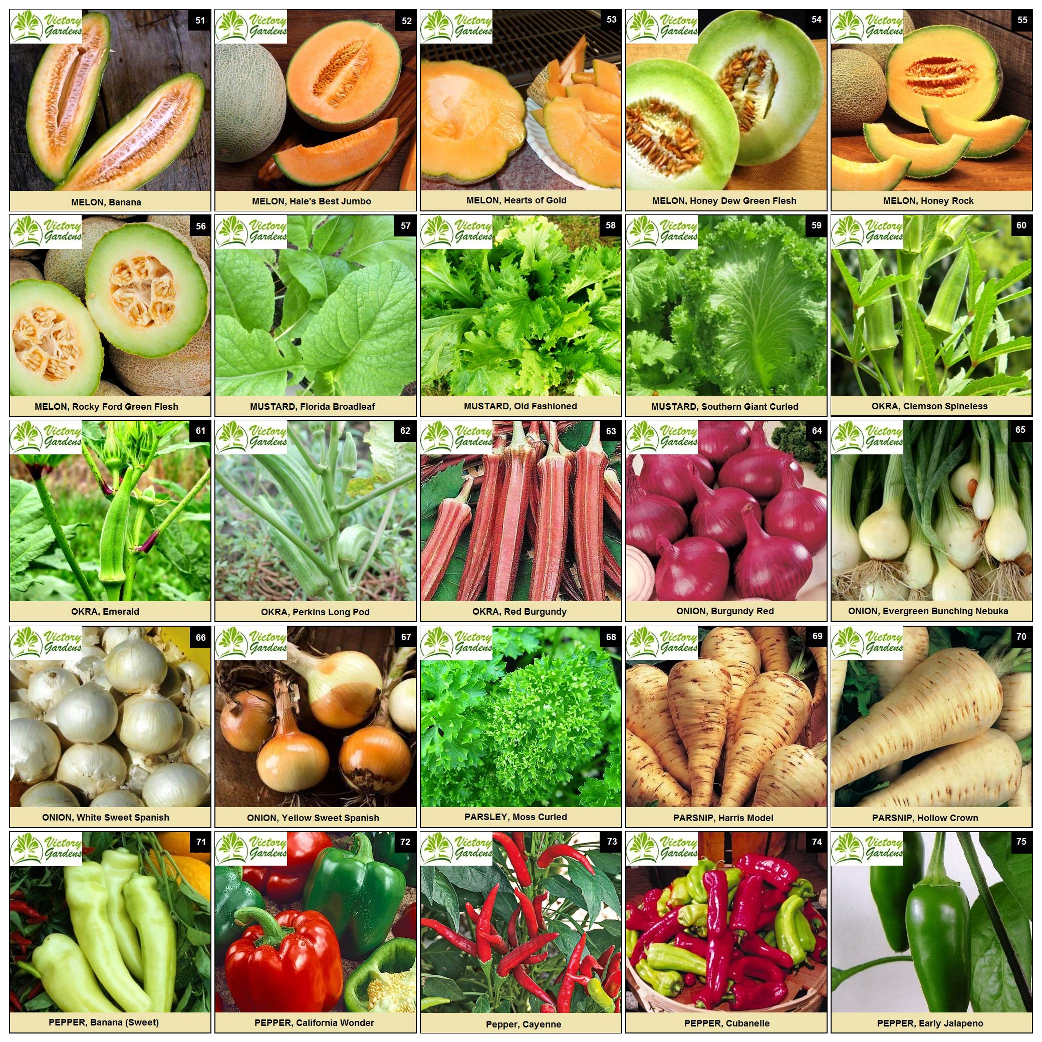 Garden Seeds Vegetable Variety Pack for Planting - Grow 125 Varieties of Heirloom Non GMO Quick Sprouting Veggies - Premium Seed Vault by Victory Gardens