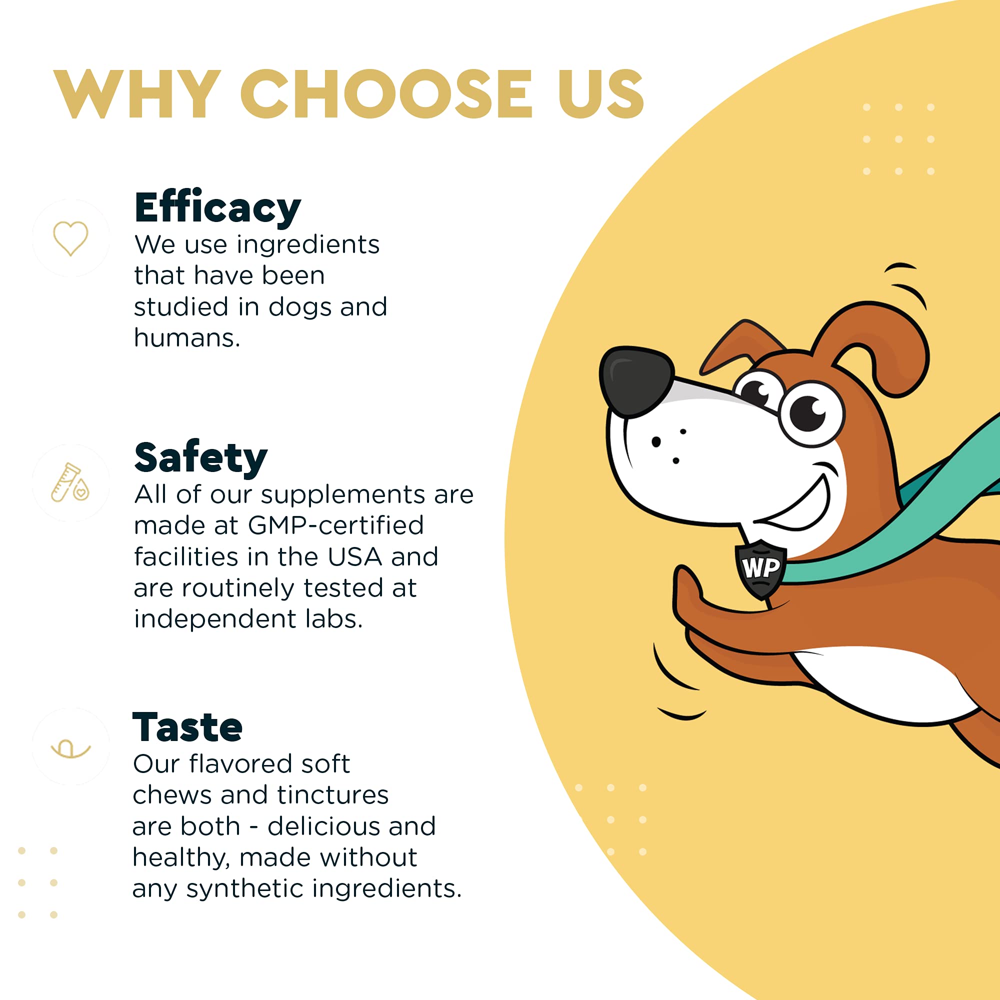 WONDER PAWS Omega Max Fish Oil Plus Daily Multivitamin Chews - for Dog Joint Health, Skin Moisture, Immune System Support & Daily Wellness - Omega Max 16 Ounces - Multivitamin 60 Chews