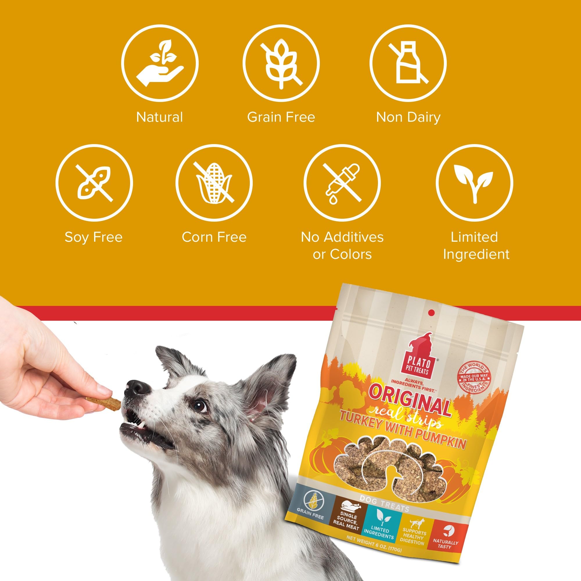 PLATO Turkey Real Strips Natural Dog Treats - Real Meat - Air Dried - Made in the USA - Turkey & Pumpkin, 3 ounces